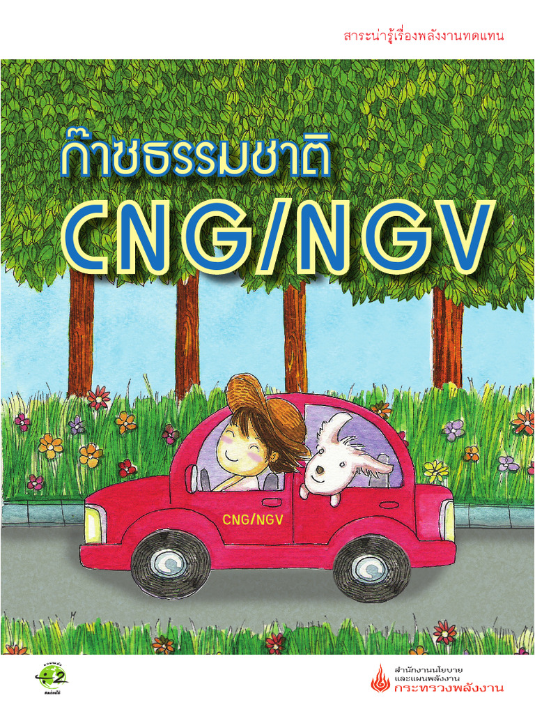 CNG NGV | PDF