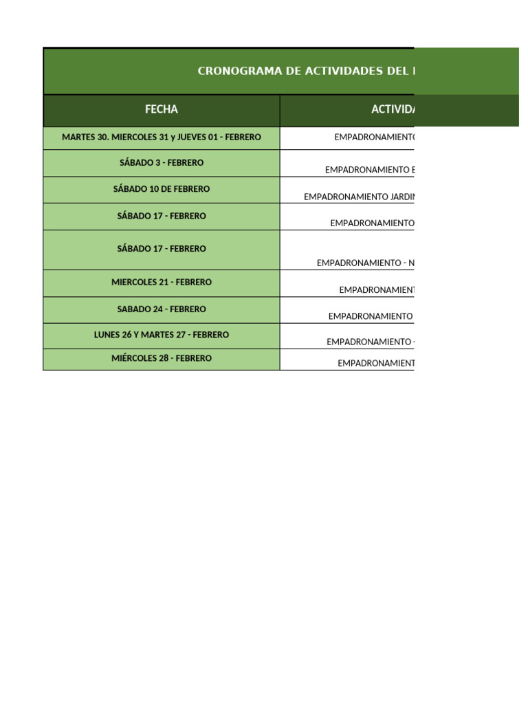 Cronograma de Actividades Fise 2024 - Actualizado Al 28-11-24 | PDF