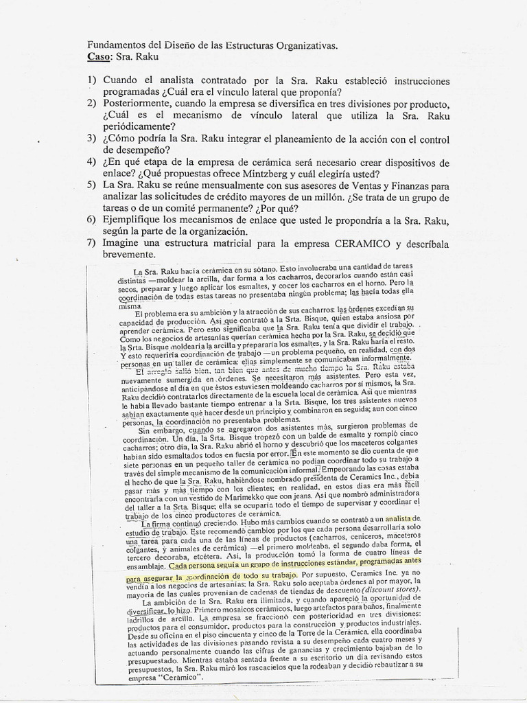 Enunciado Caso Raku - Casp Practico | PDF