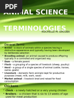Terminologies in Animal Science | PDF