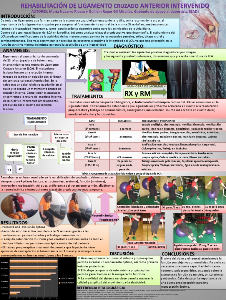 Poster Lca | PDF