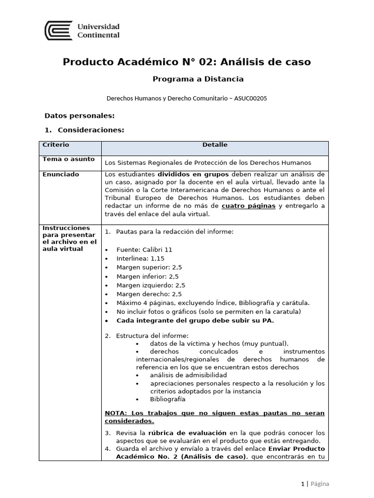 Pa02 - Grupal-2025 | PDF