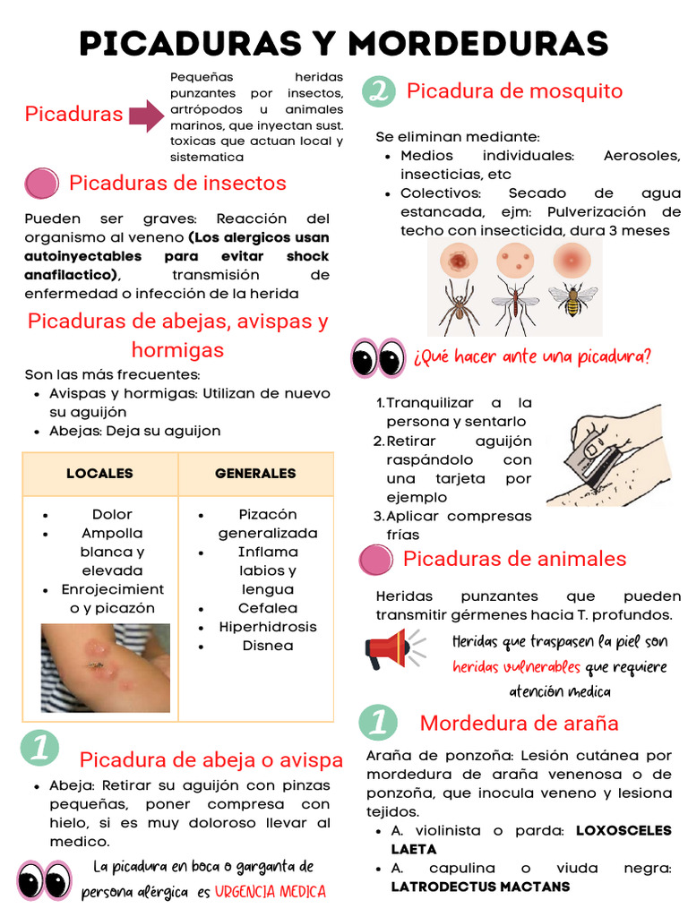 Primeros Auxilios para Picaduras y Mordeduras | PDF | Avispa | Araña