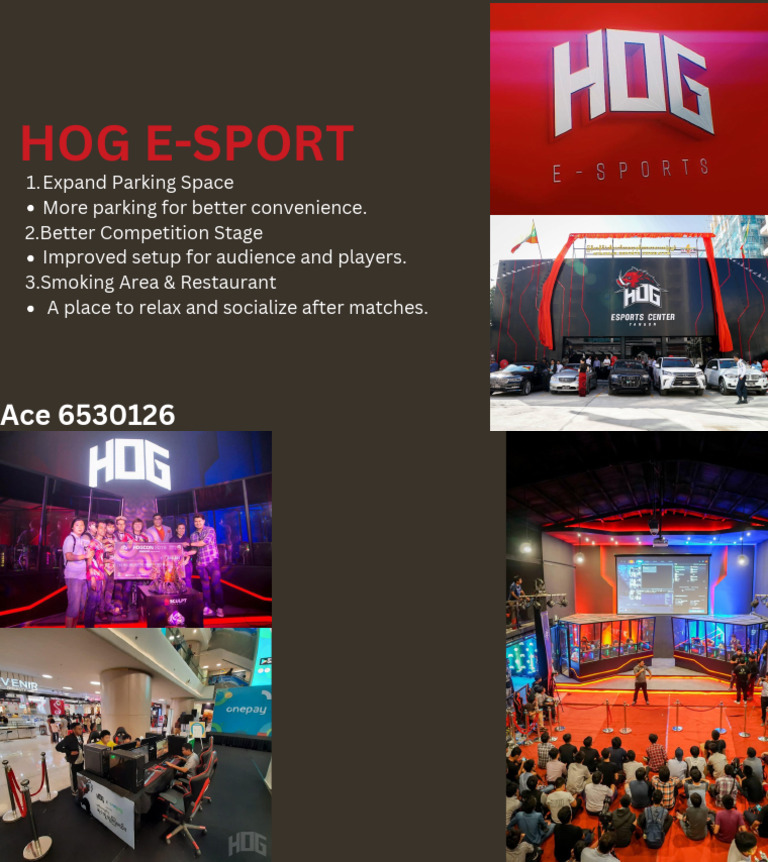 Hog E-Sport | PDF