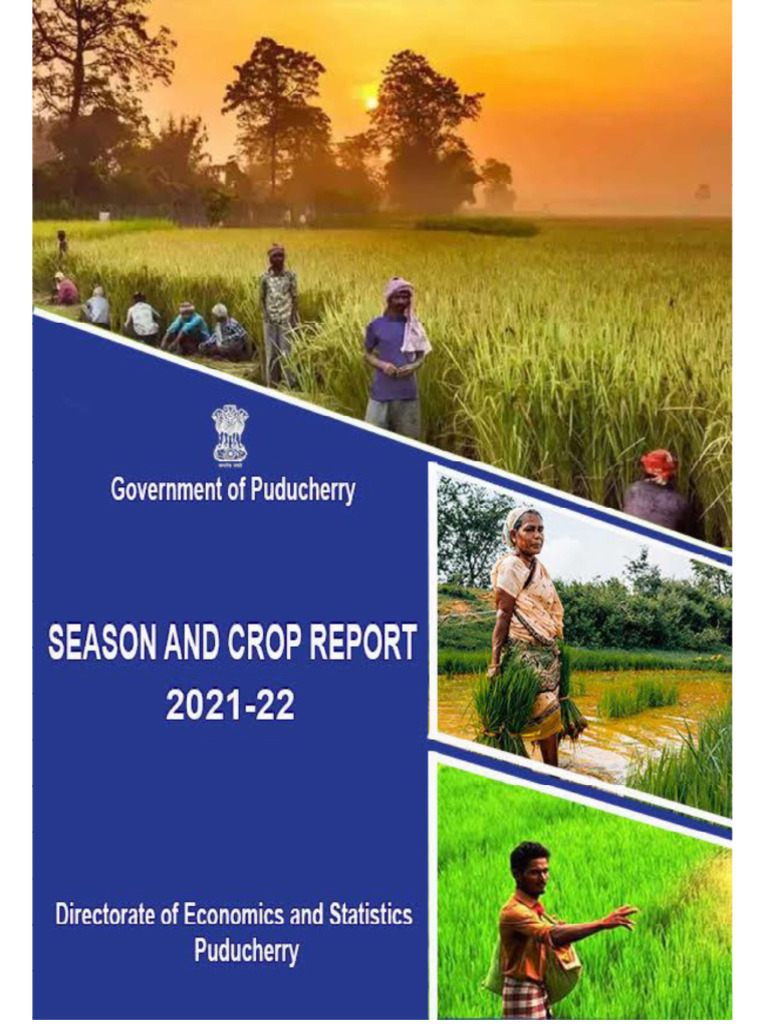 Puducherry Seasonal Crop Report 2021-22 | PDF | Crops | Agriculture
