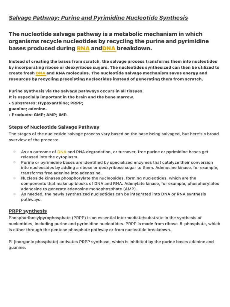 Salvage Pathway Purine and Pyrimidine Nucleotide Synthesis | PDF ...