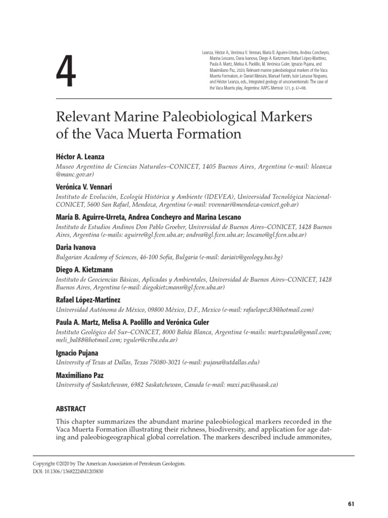 Leanza Et Al. 2020. AAPG Memoir 121 Chapter 04 | PDF