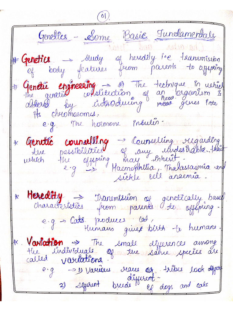 Chapter 3 - Genetics | PDF