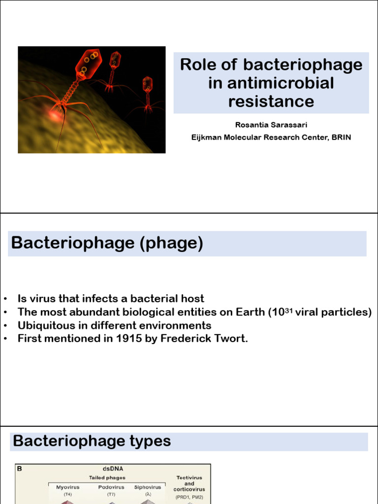 Materi 5 - Role of Bacteriophage in Antimicrobial Resistance | PDF | Bacteriophage | Virus