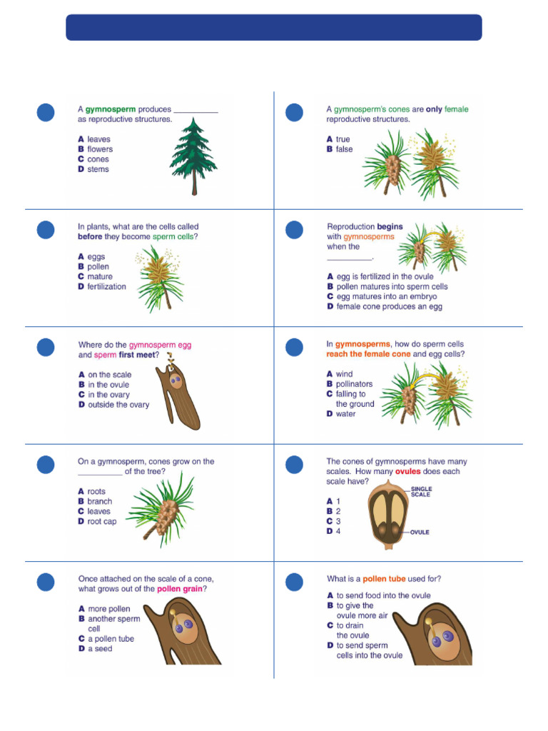 +++worksheet Science Grade 6 Plant Reproduction | PDF