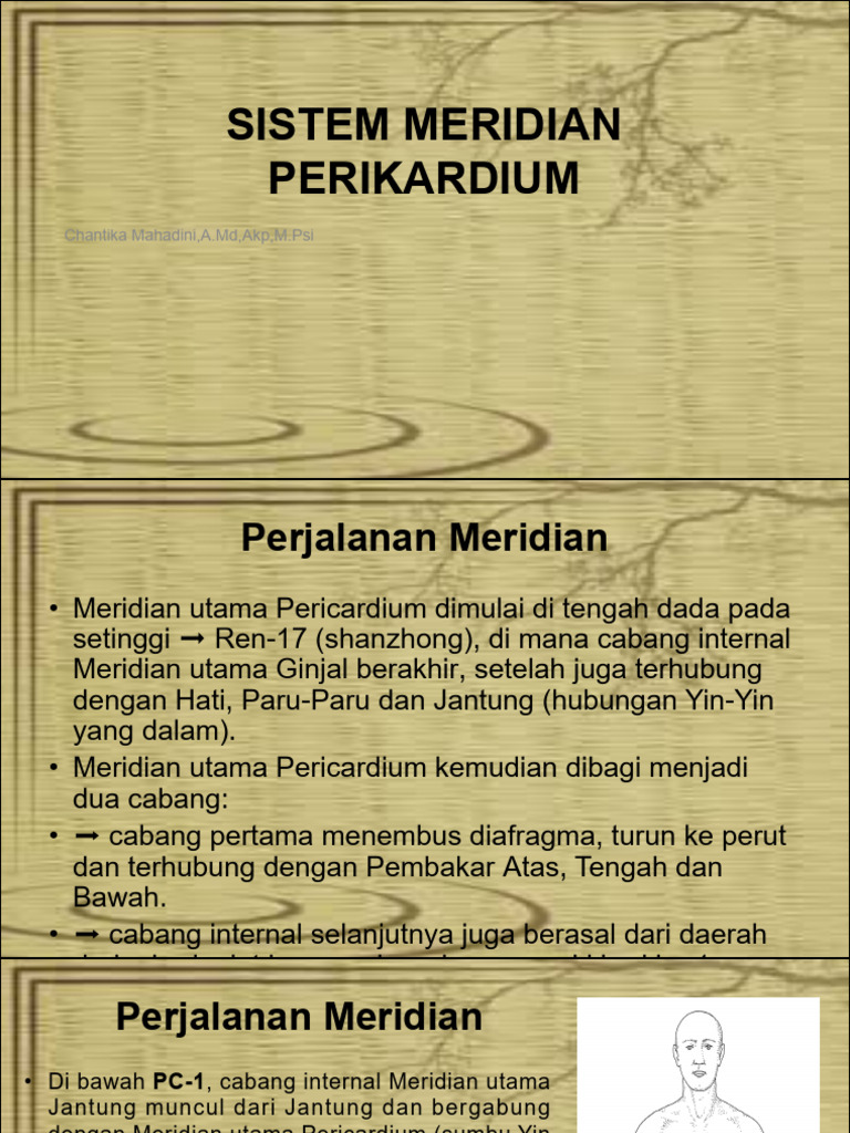 Meridian Perikardium: Jalur dan Klinis | PDF