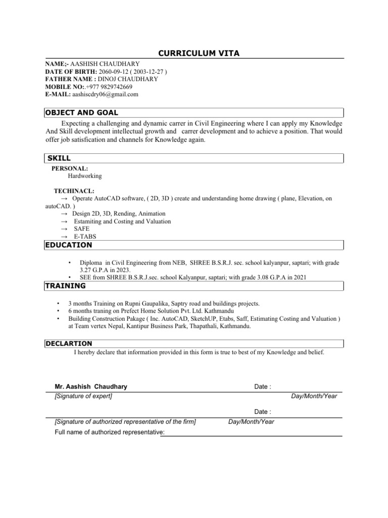 Aashis Final CV Old A22 | PDF