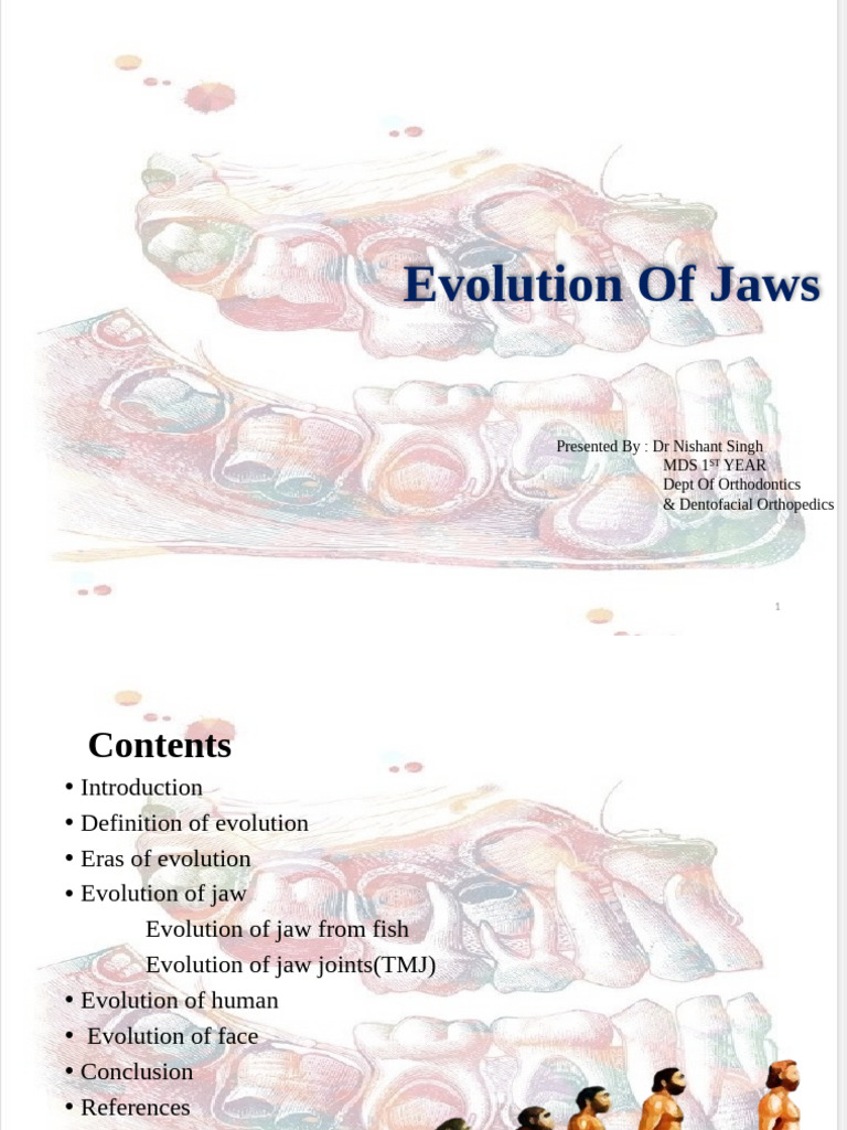 Seminar Evolution OF Jaws | PDF | Skull