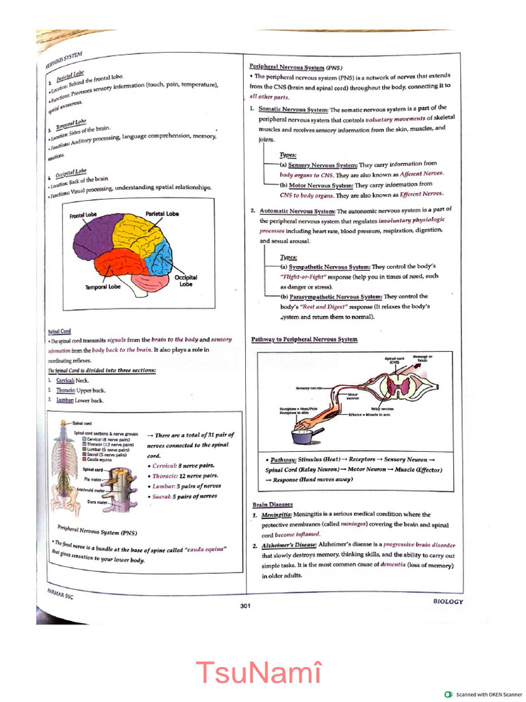 Fat Man Book Part 5 (300-400) | PDF