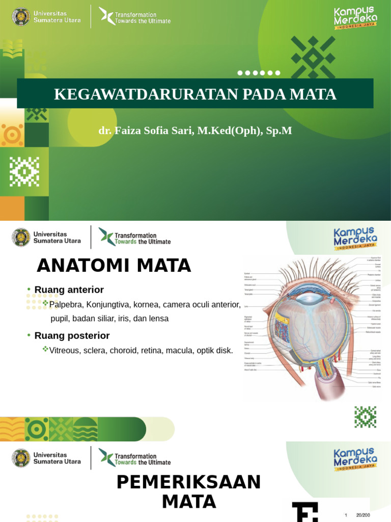 EM2 - K15 Kegawatdaruratan Mata-2 | PDF