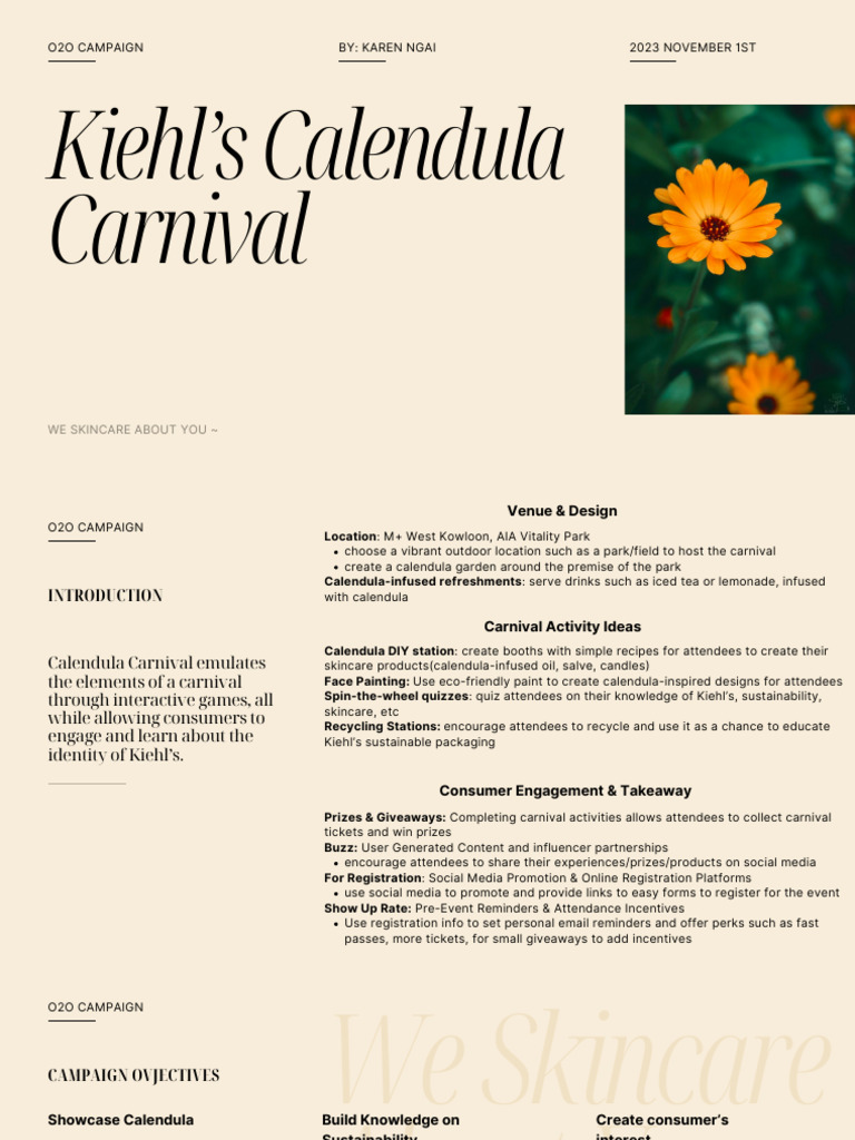 O2O Campaign - KarenNGAI | PDF