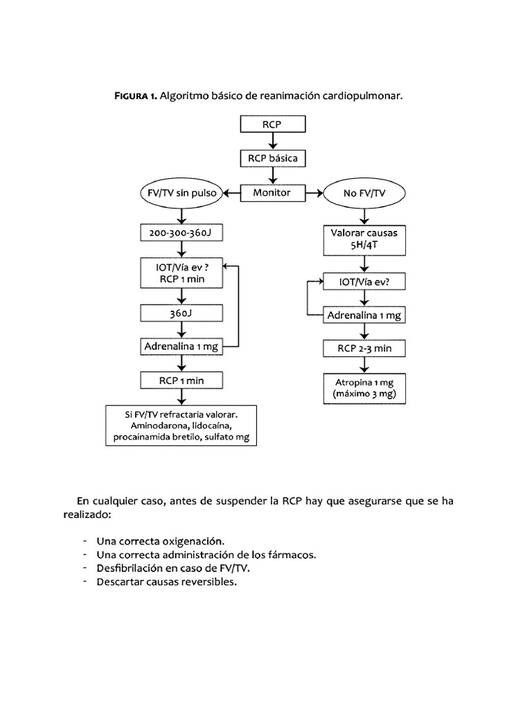 Algoritmo básico de reanimación cardiopulmonar | PDF