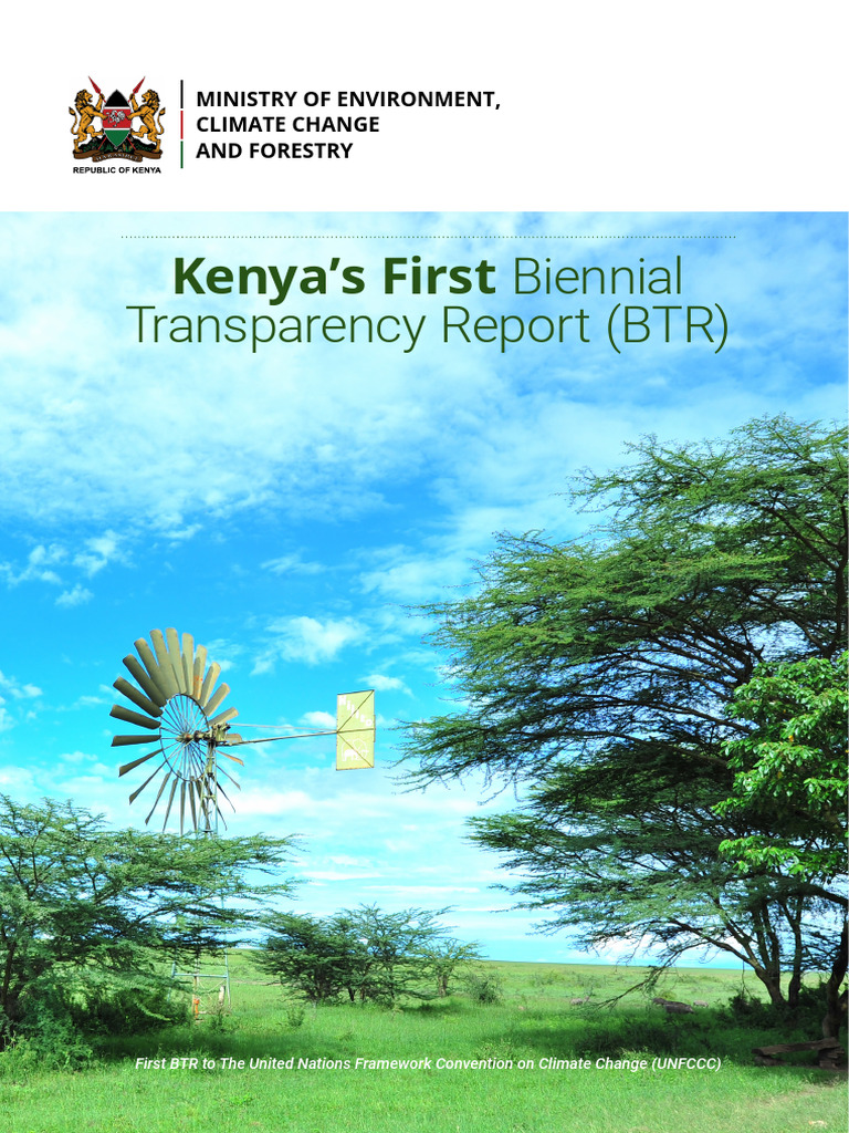 Biennial Transparency Report - Final 2 | PDF | Climate Change | United ...