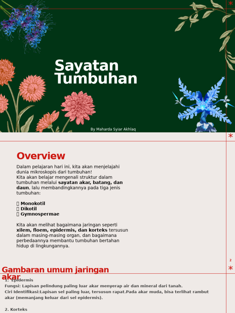 Sayatan Tumbuhan PPT Coretan PPSN | PDF