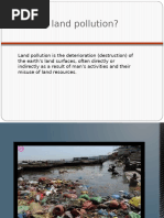 Geography (Land Pollution) Project | PDF