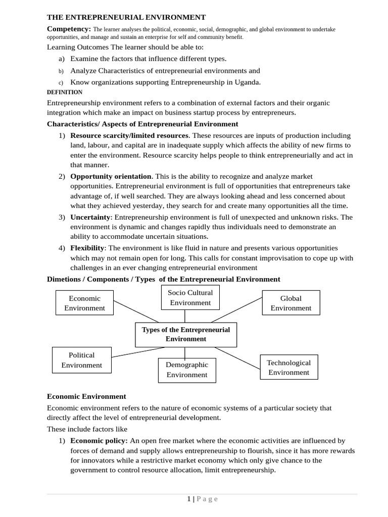 Entreprenuership Environment | PDF | Entrepreneurship | Economics