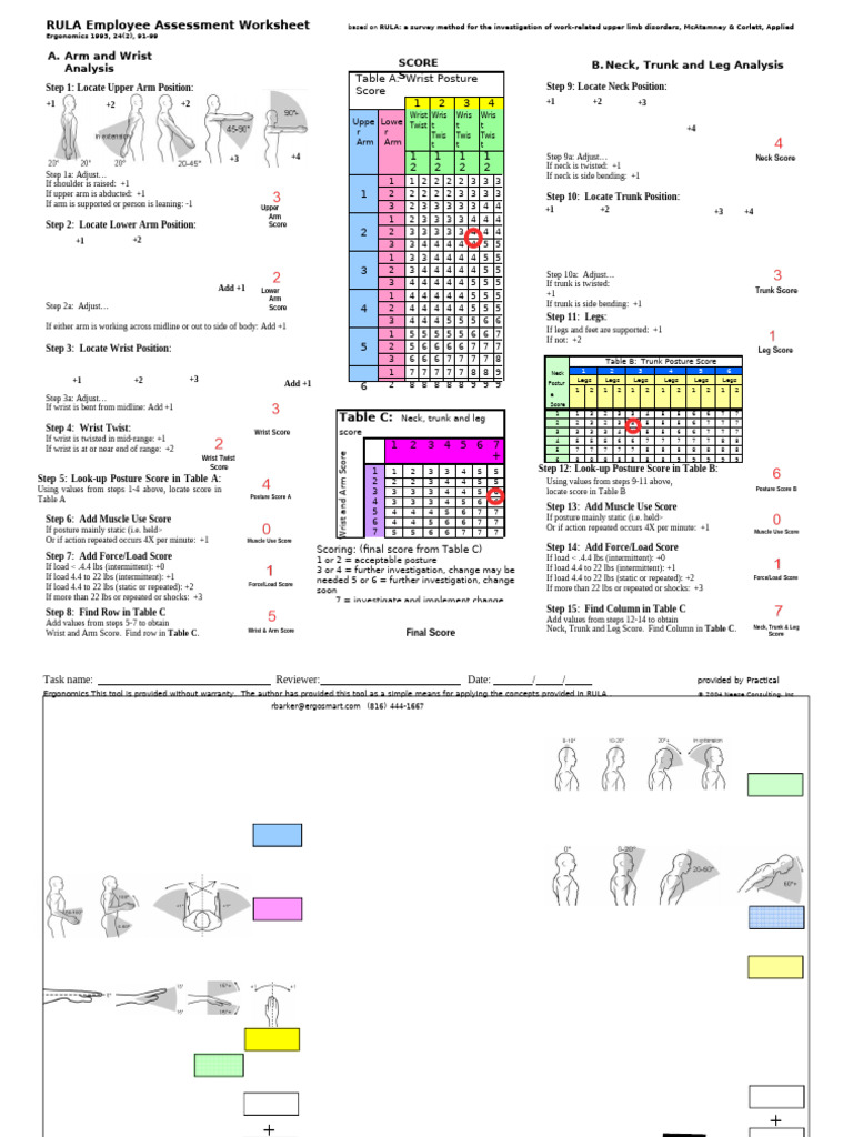 RULA r1 | PDF | Arm | Musculoskeletal System