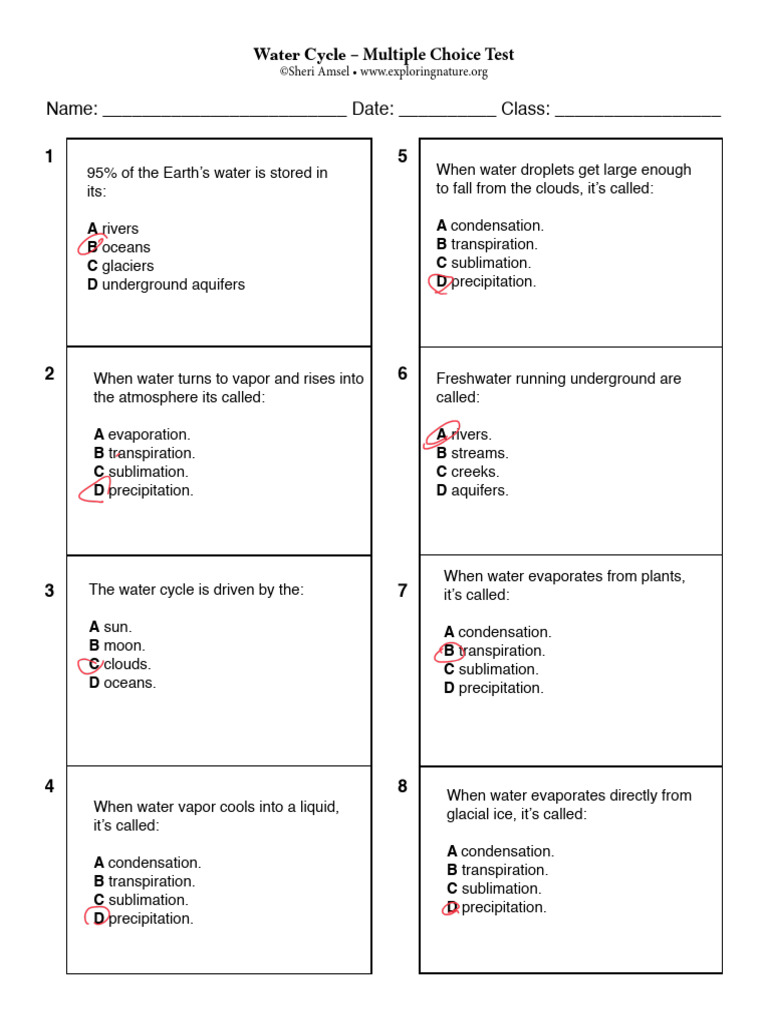 Water Cycle Multiple Choice Quiz | PDF
