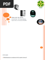 Anatomie Du Corps Genicule Lateral 2022 | PDF | Système visuel | Vision