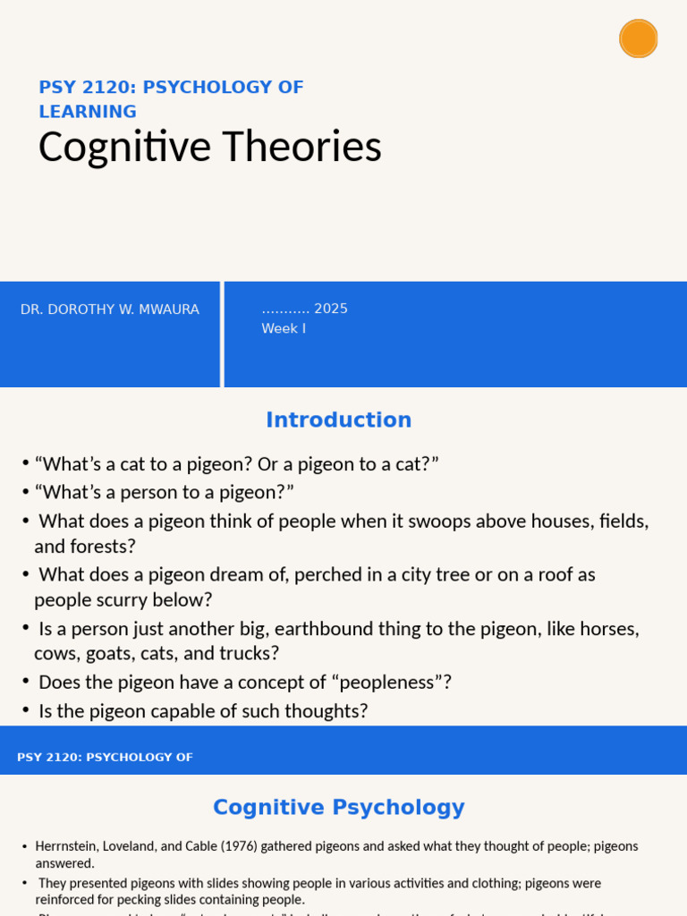 Metaphors in Piaget's Cognitive Stages | PDF | Constructivism ...