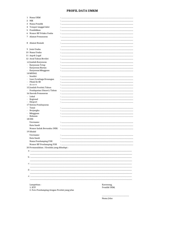 Profil Data Pirt 2025 | PDF