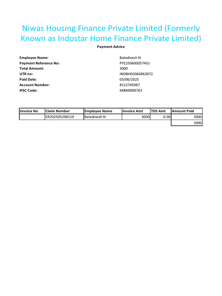 Payment Advice Report | PDF