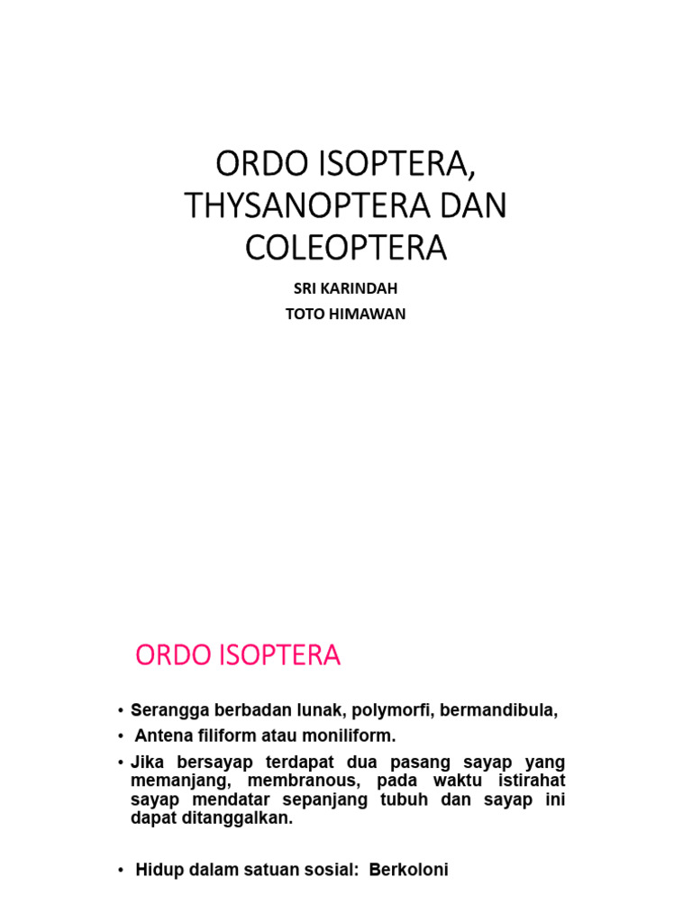 3-Ordo Isoptera, Thysanoptera Dan Coleoptera | PDF
