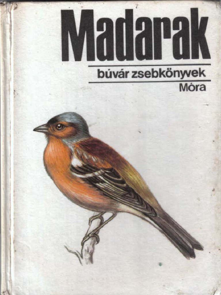 Madarak 1 | PDF