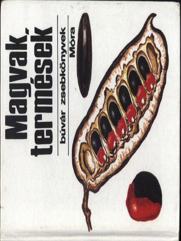 Magvak Termesek | PDF