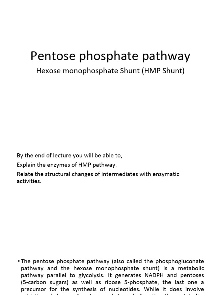 HMP sHUNT | PDF