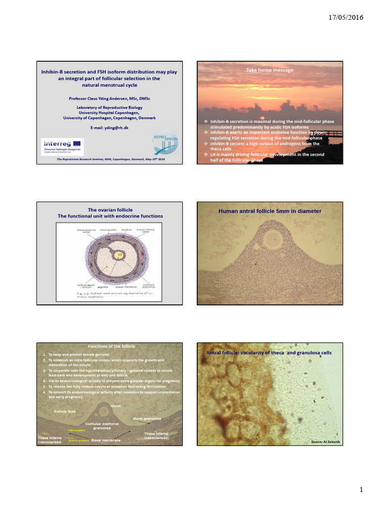 Httpsreprounion - Euwp Contentuploads201605Claus Yding Andersen Follikulaer Fasen Maj 10 2016 ...