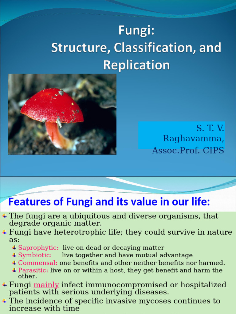 Fungal Classification, Structure, and Replication | PDF | Fungus | Mold