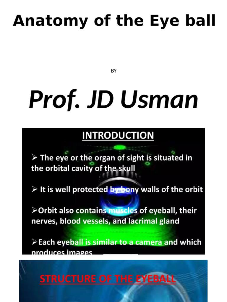Anatomy of The Eye Ball | PDF