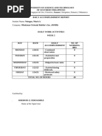 Site Diary Template | PDF