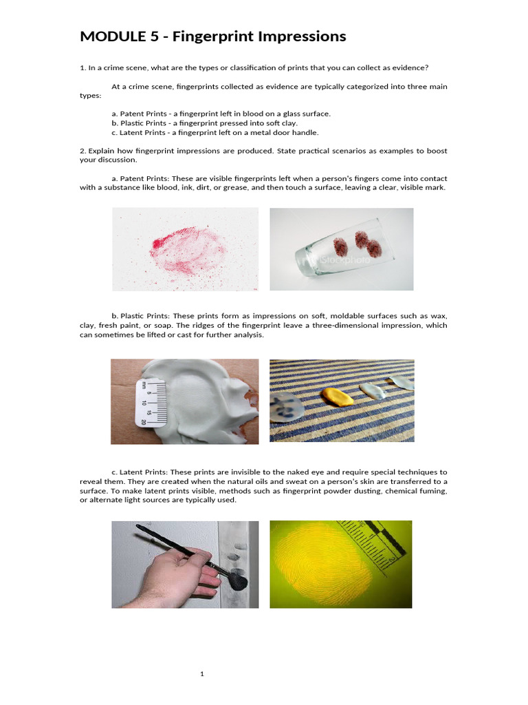 MODULE 5 - Fingerprint Impressions SFO1 Libranda | PDF | Fingerprint
