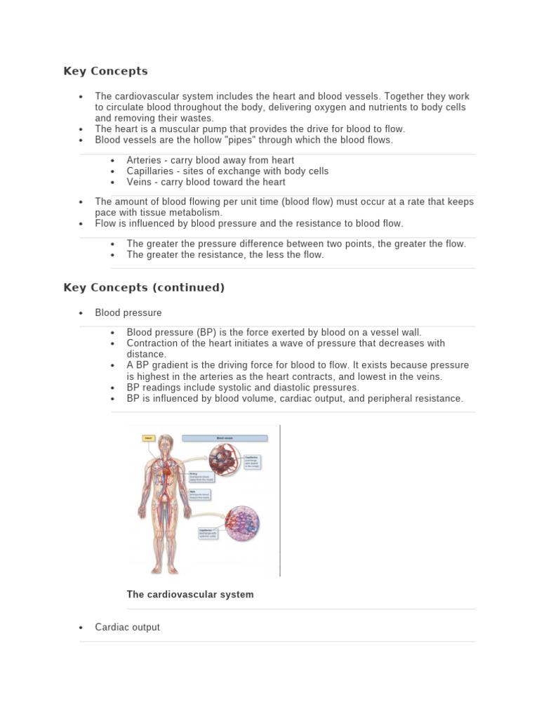Blood Pressure LAB SIMULATION | PDF | Heart | Blood Pressure
