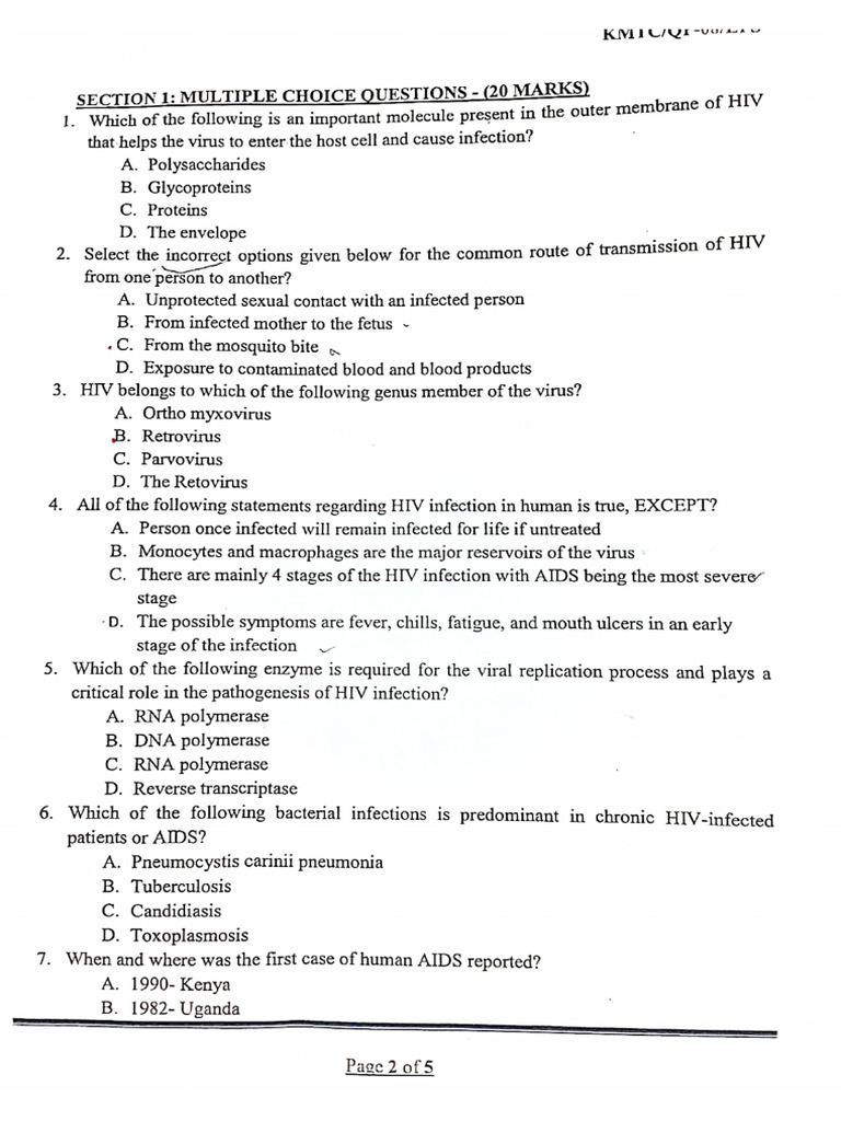 Anatomy Paper | PDF