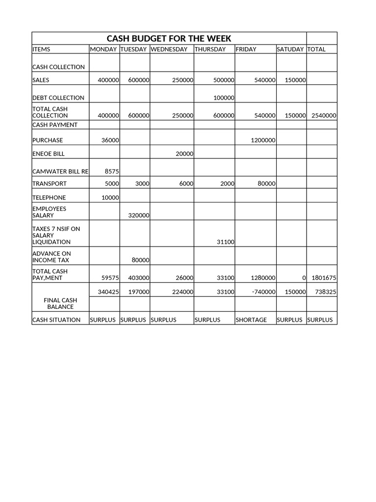 Cash Budget | PDF