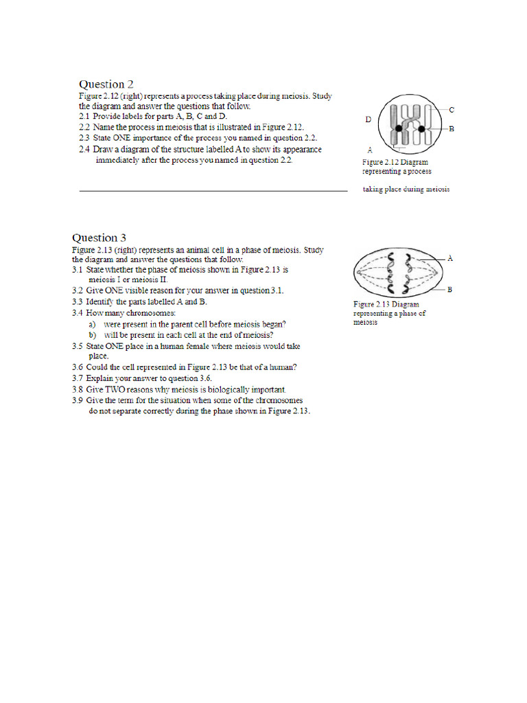 Life Science Questions | PDF