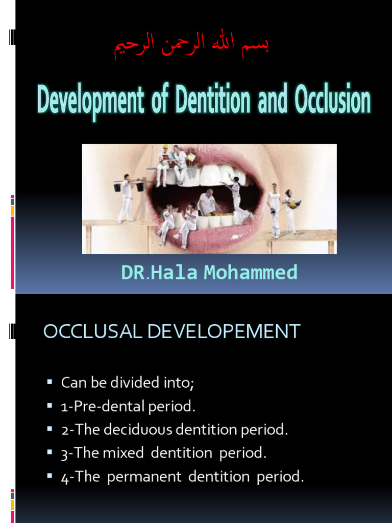 Sheet 6 (Development of Dentition) PDF | PDF | Tooth | Mouth