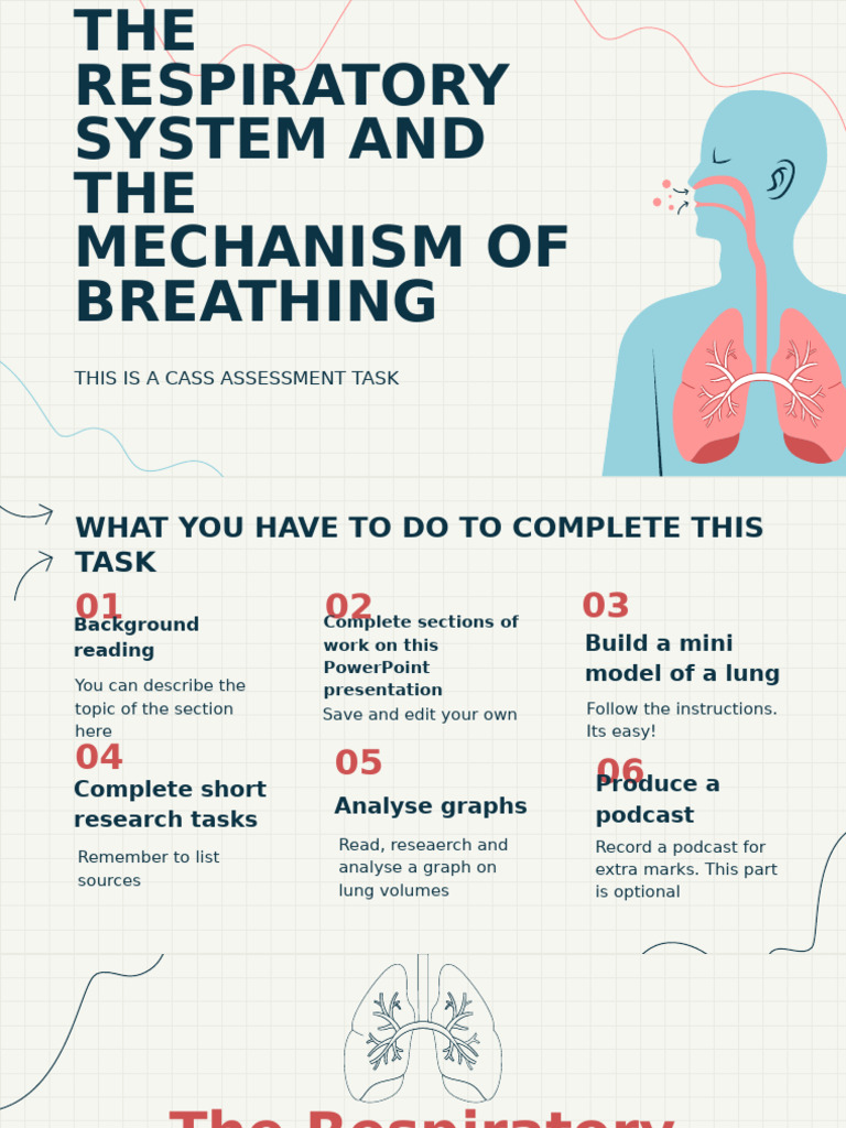 Lungs and Respiratory System Assessment Task | PDF | Breathing ...