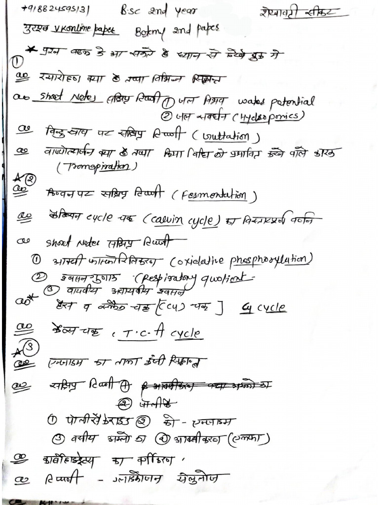 Pdusu BSC 2nd Year Botany 2nd Model Paper 2025 | PDF