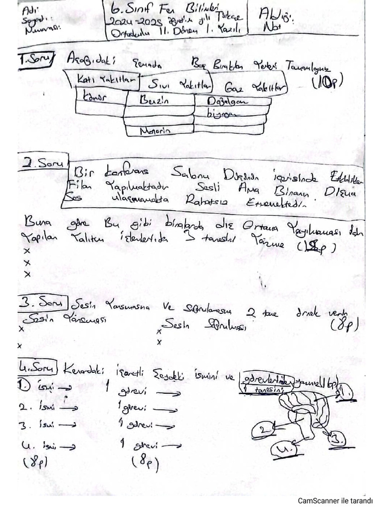 6 Snffenbilimleri2 Dnem2 Yazl | PDF