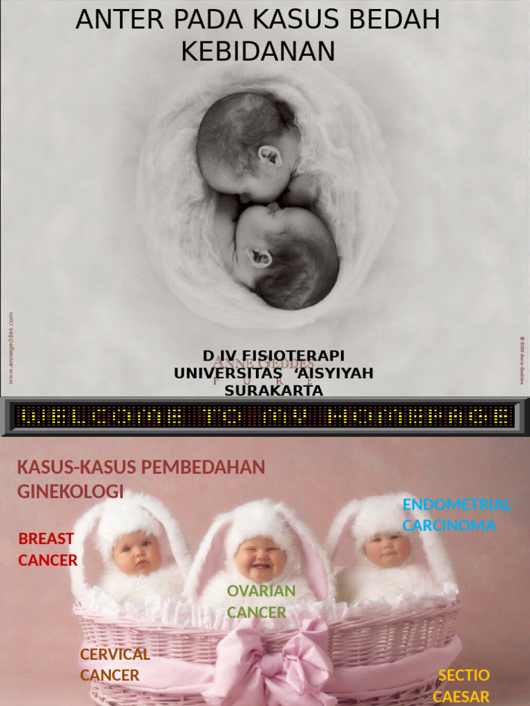 Anatomi Terapan Pada Bedah Kebidanan DIV Fisioterapi Anatomi Terapan 20210323 081302 | PDF