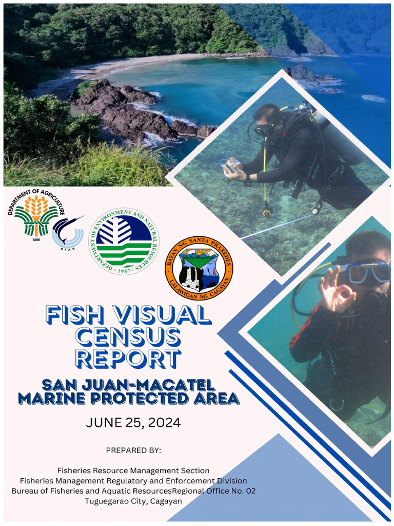 San Juan-Macatel Mpa - FVC Report - 2024 | PDF | Coral Reef | Biodiversity